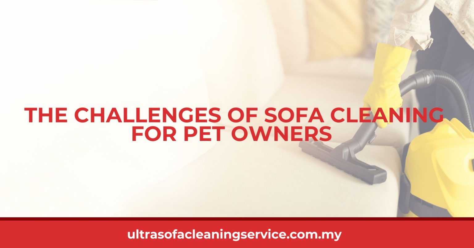 The Challenges of Sofa Cleaning for Pet Owners